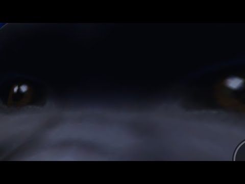 Gtag checking out the new Science update - YouTube