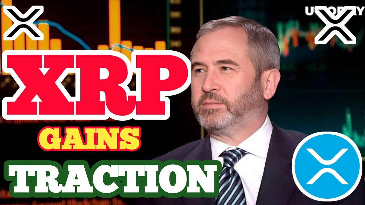 XRP GAINS TRACTION AS TREASURY RESERVE ASSET WEBUS, VIVOPOWER: WHAT HAPPENS NEXT? XRP NEW UPDATE ...