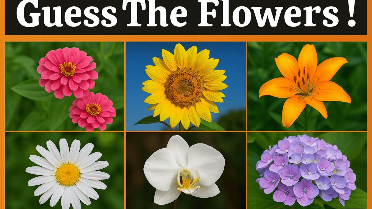 Guess The Flower Quiz | Flowers General knowledge | Fun Learn#quiz # ...