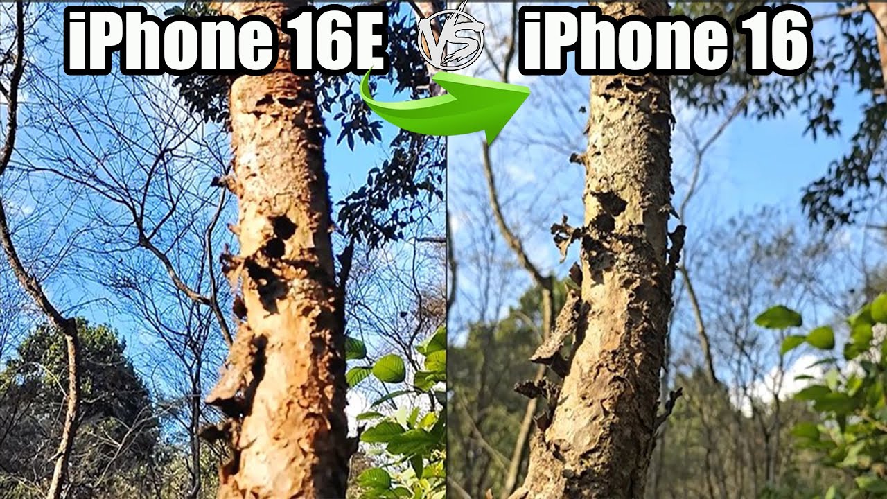 Iphone 16E Vs Iphone 16 Camera Test Comparison - YouTube