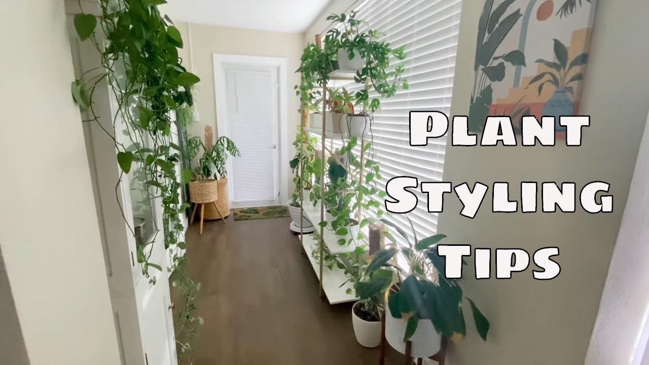 Tips for Styling with House Plants / Too Many Plants / Yitahome 5 Tier Bookshelf for Plants ...
