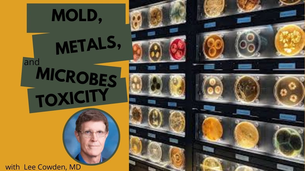 Lee Cowden, MD, Mold, Metals, & Microbes Toxicity - YouTube