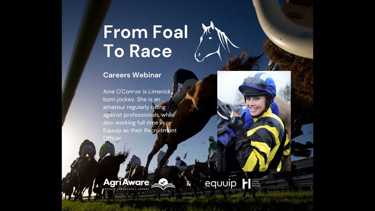 From Foal to Race | Careers Webinar | Aine O'Connor - YouTube