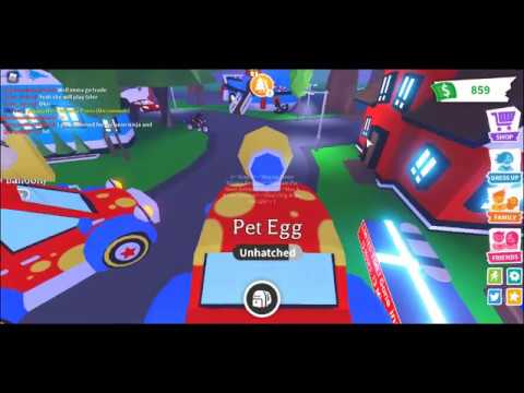 opening a pet egg part three of opening every egg availible - YouTube