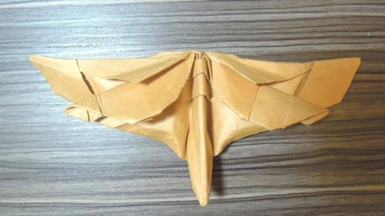 DIY-paper origami Moth (hawk/sphinx moth type)∣蛾類摺紙 (天蛾型態) - YouTube