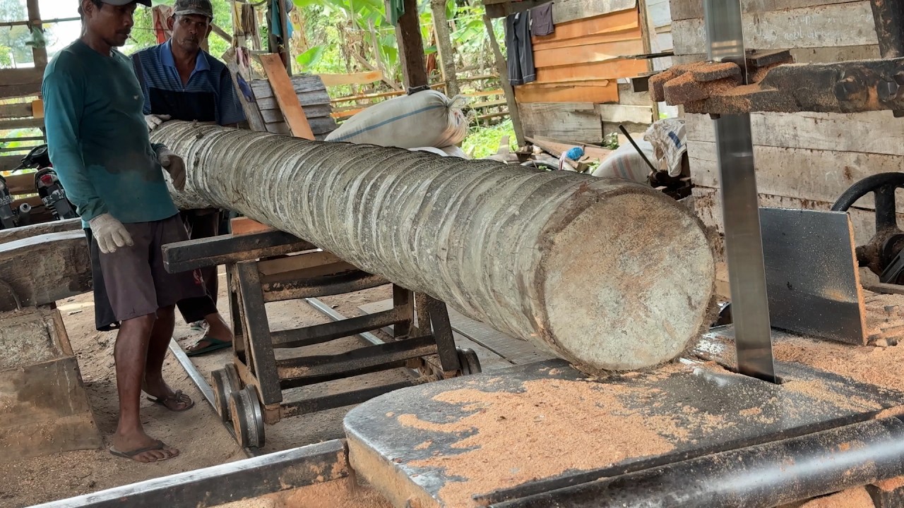 Tips for Determining the Size of 5x5 Coconut Wood Blocks with a Sawmill ...