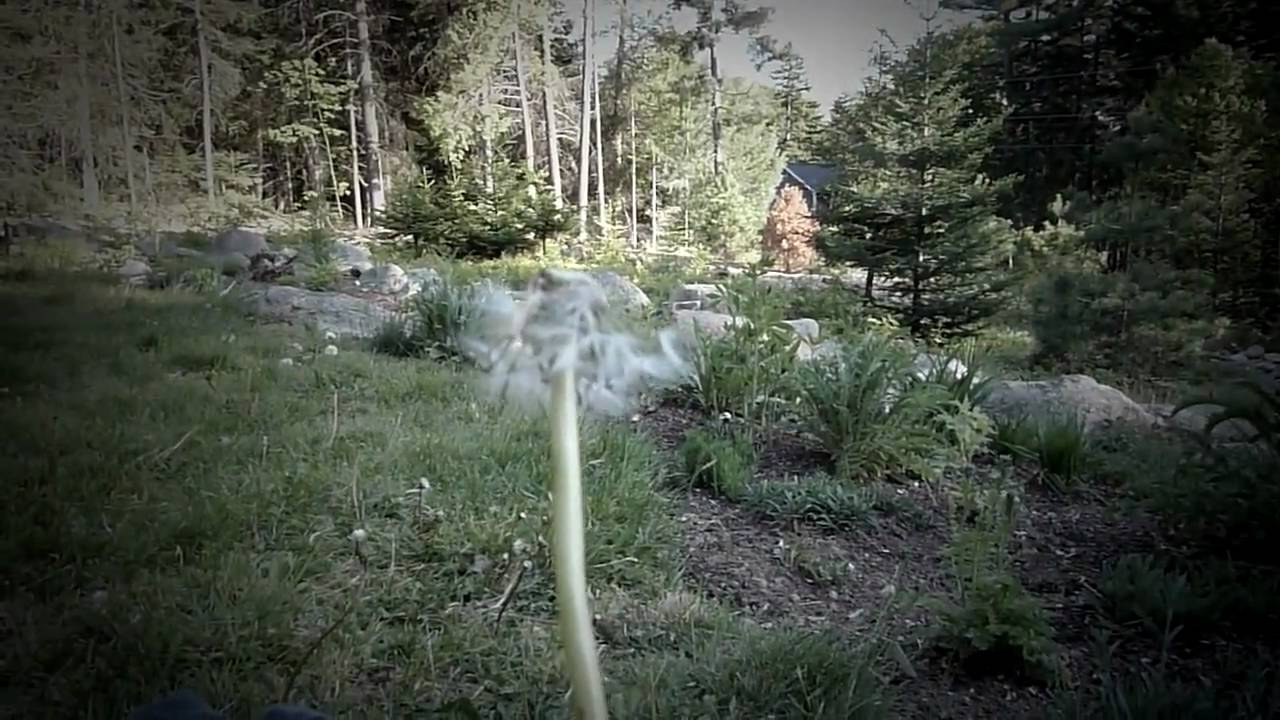 Panasonic Lumix DMC-ZS7 720p HD Video Sample #2 - YouTube