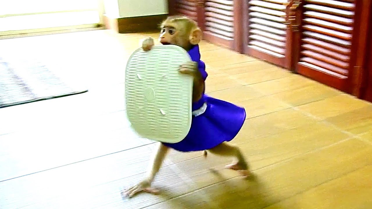 Cute Julie carry plate run so fast to eating table for snack time ...