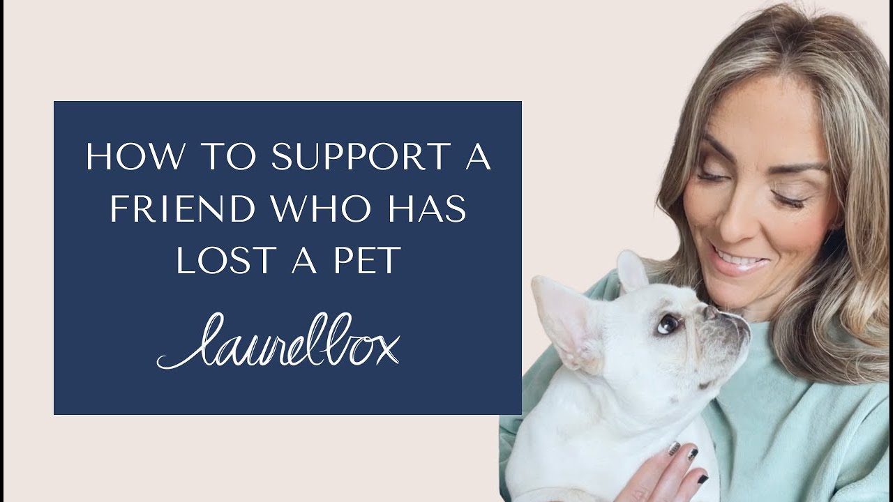 How To Support A Friend Who Has Lost A Pet YouTube how-to-support-a-friend-who-has-lost-a-pet-youtube