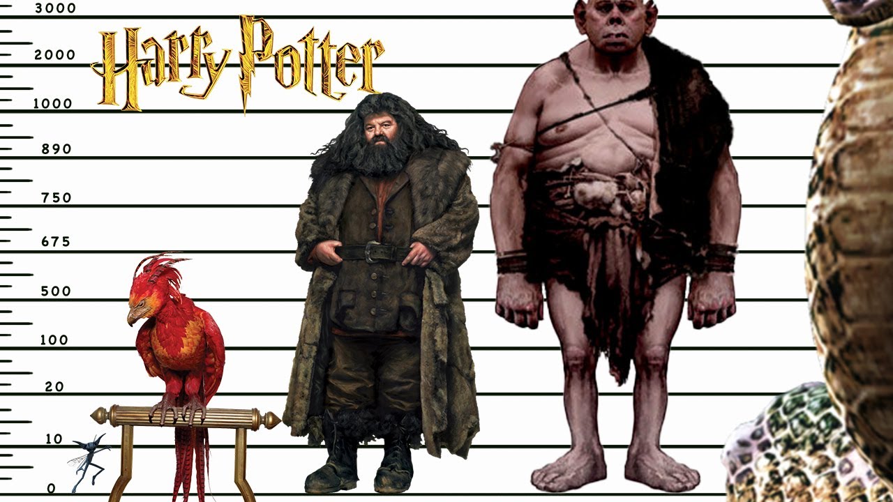 Harry Potter - creature size comparison - YouTube