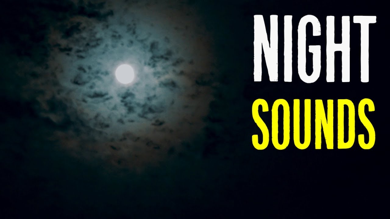 1 HOUR of Gentle Night Sounds - Sleep, Meditation, Relaxing, Yoga ...
