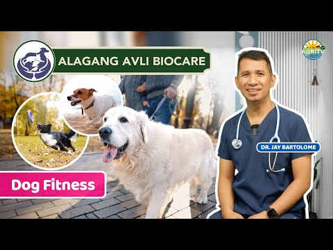 AGRITV Alagang AVLI Biocare: Dog Fitness