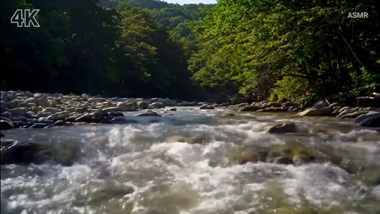 Calm River ASMR | Nature Soundscape For Stress Relief - YouTube