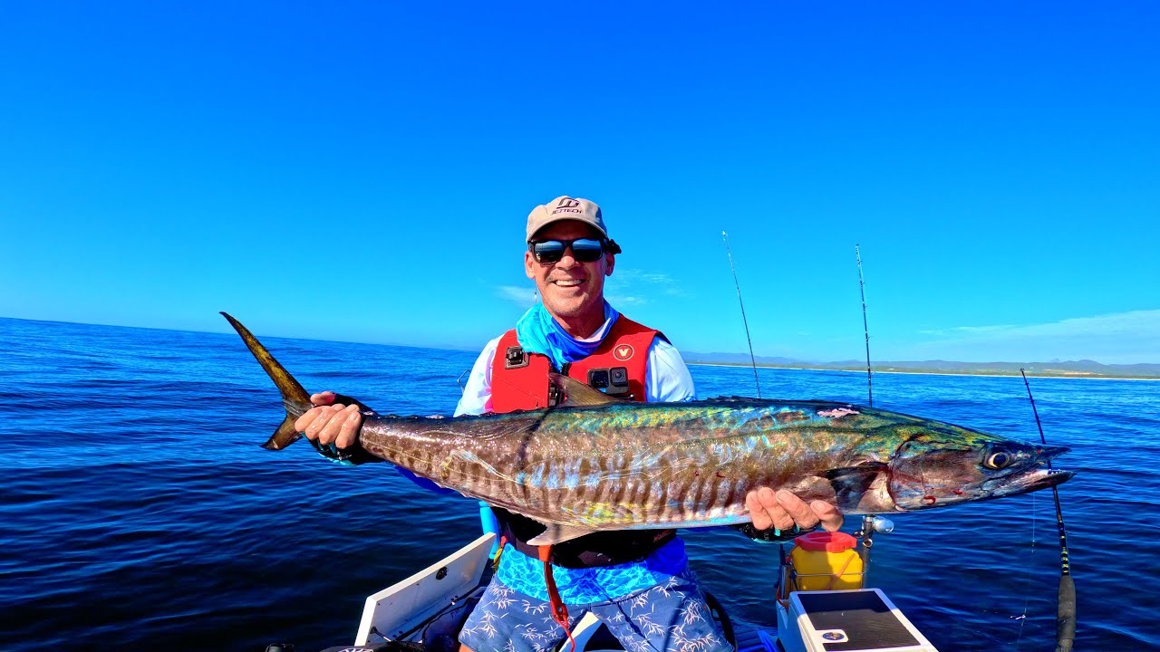 Live & Dead Baiting for Spanish Mackerel + Snapper = A Great day out ...