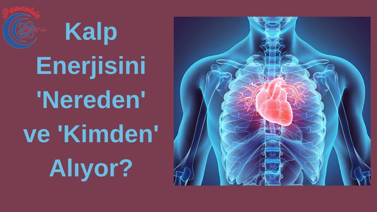 Kalp Enerjisini 'Nereden' ve 'Kimden' Alıyor? - YouTube