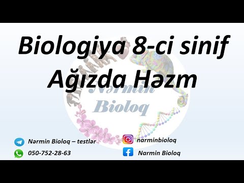 Biologiya 8-ci sinif Ağızda Həzm