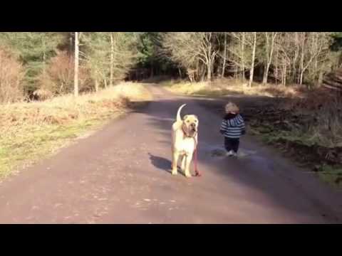 Bebek ve Köpeğin Dostluğu