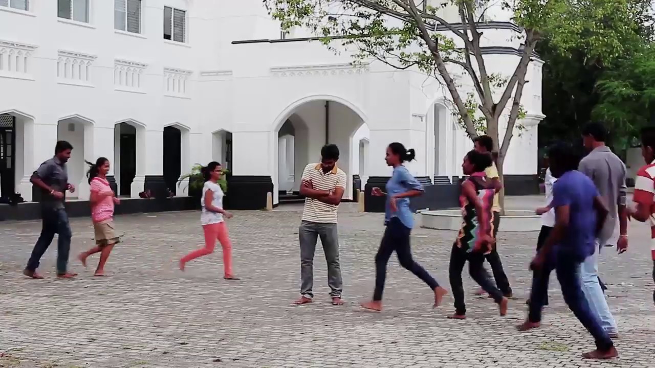 University of Colombo - YouTube