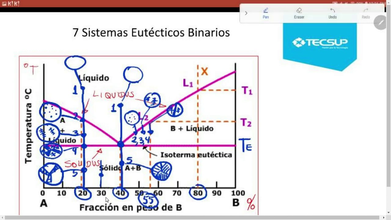 Diagrama De Fase