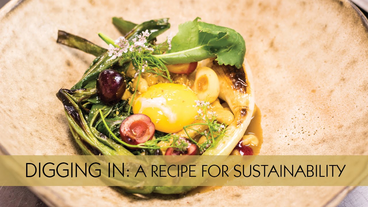 Digging In: A recipe for Sustainability, EPS 03 - YouTube
