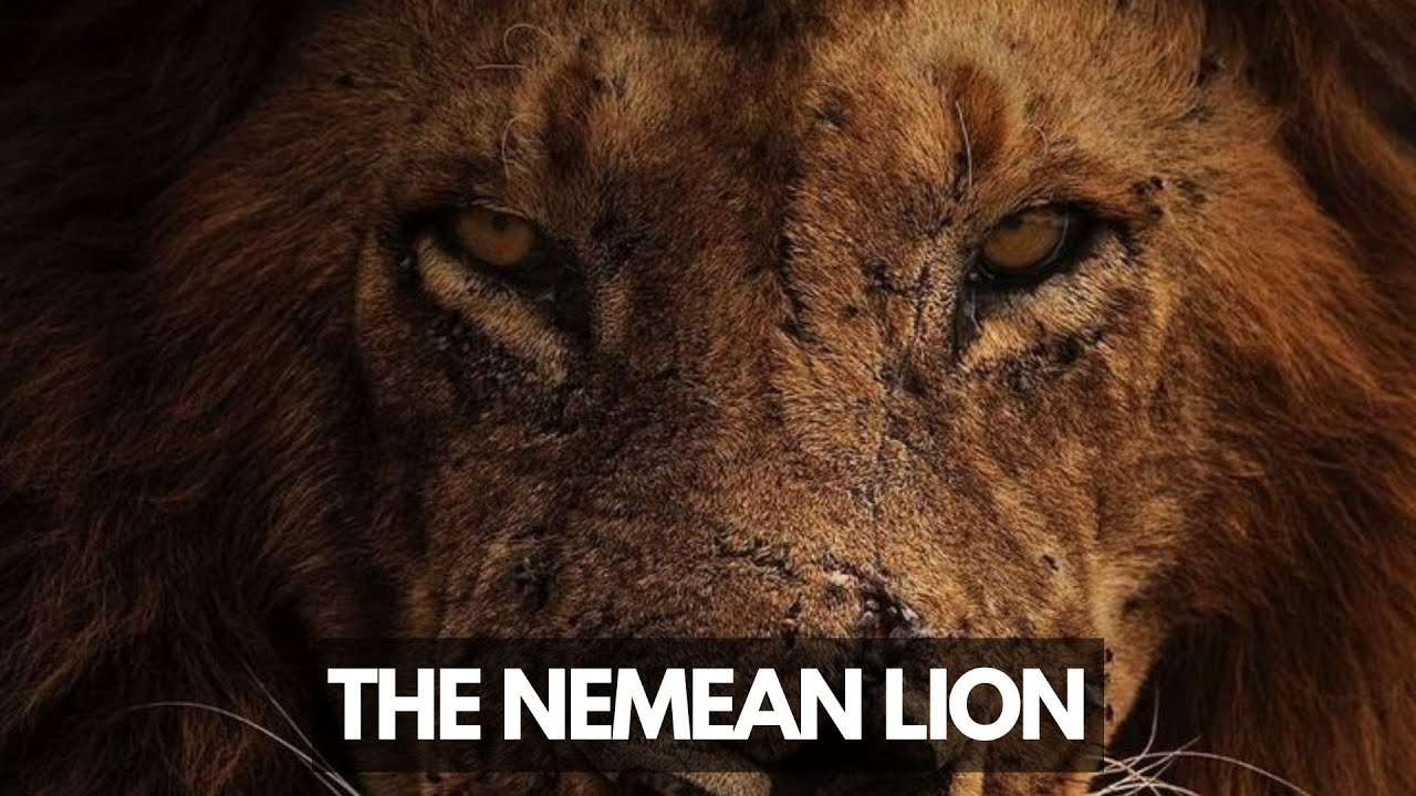 The Nemean Lion - Greek Mythology #mythical #mythology #greekmythology ...