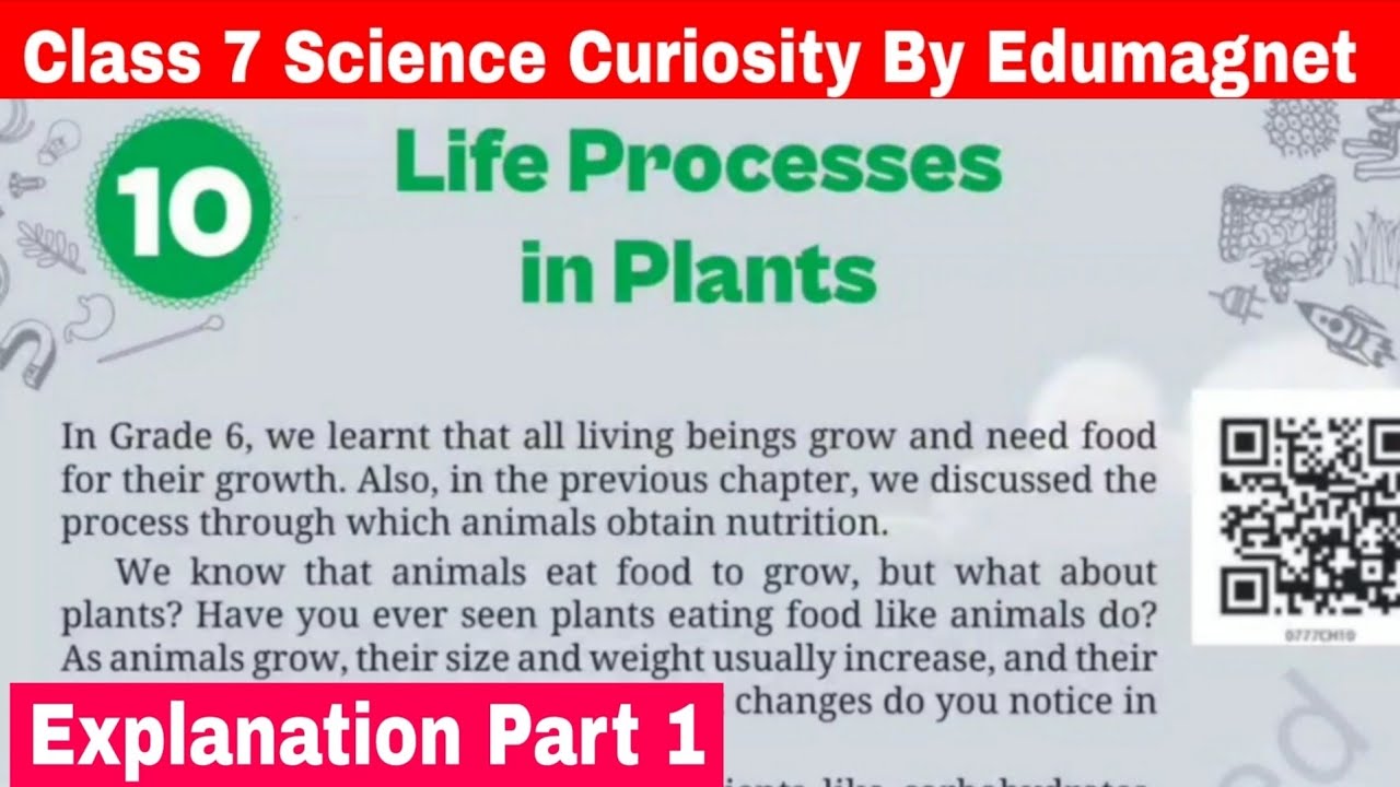 NCERT Class 7 Science Curiosity Chapter 10 Life Processes in Plants ...