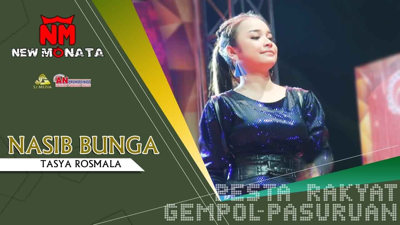 OWKEEHH BOLO..! NEW MONATA || NASIB BUNGA - TASYA ROSMALA || AN ...