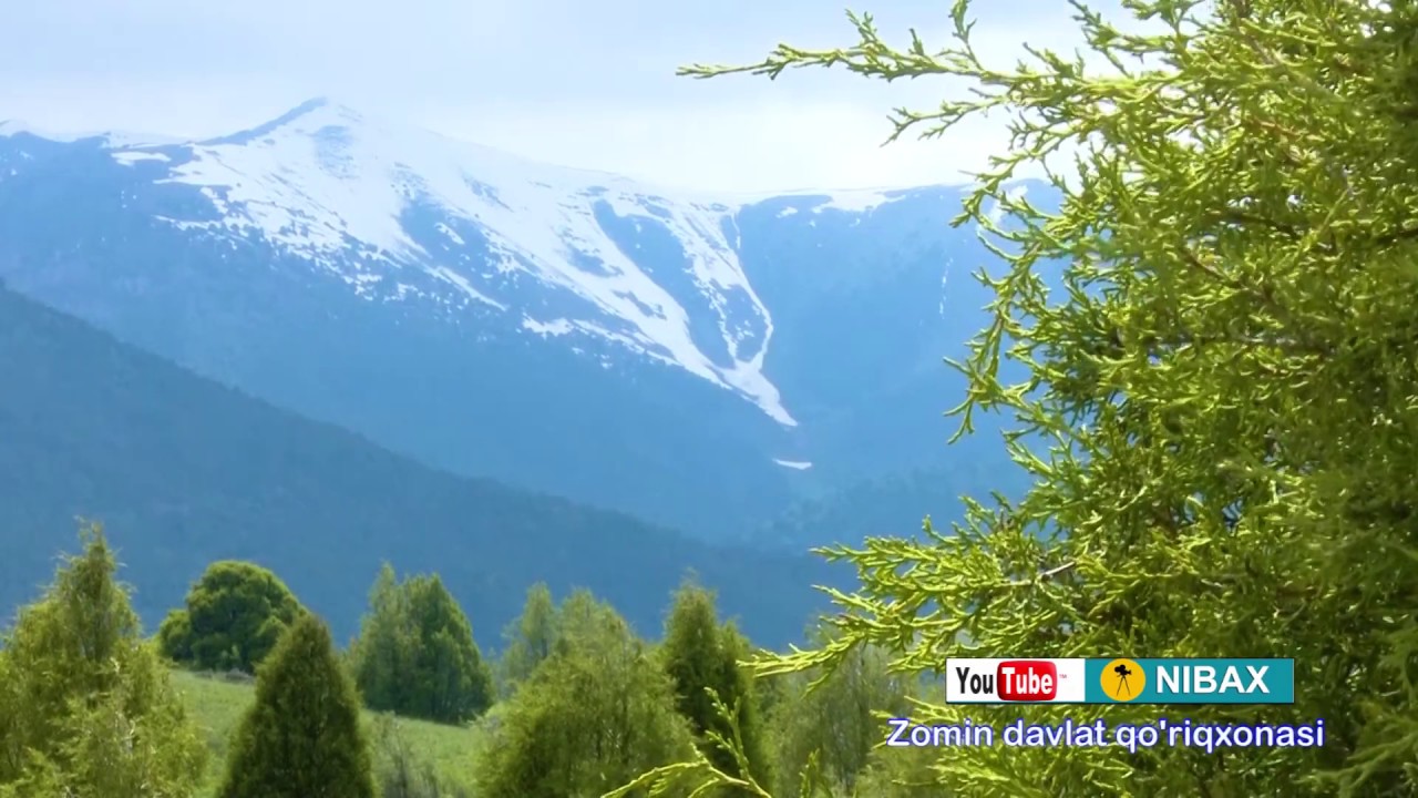 Zomin Qo'riqxonasi Rolik 2020 Full HD - YouTube