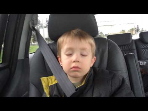Cute little boy sleeping in the car - Funny