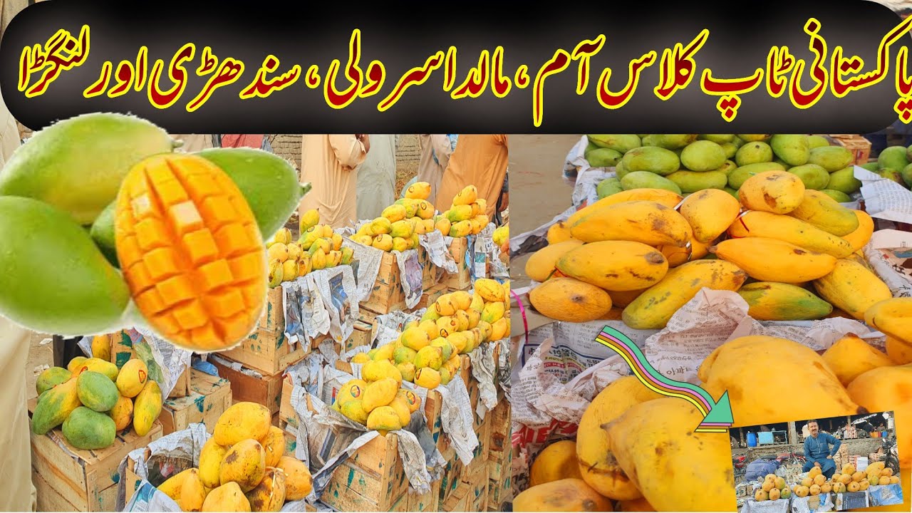 Premium Quality Mango | World Top Juicy Mango | Pakistani White Chonsa ...
