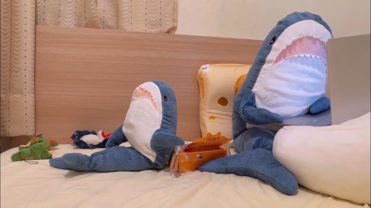 鯊鯊生氣但鯊鯊想吃｜Angry blahaj wants the cookies｜鯊鯊日常｜blahaj｜Blåhaj｜ikeashark ...