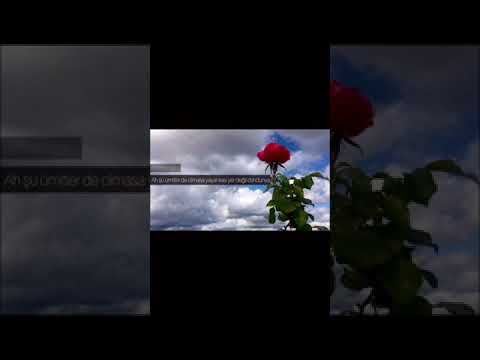 Zerrin Özer/ Her şey seninle güzel / şiir