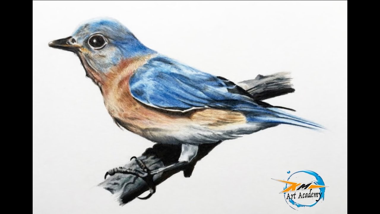 How to Draw a Bard - YouTube