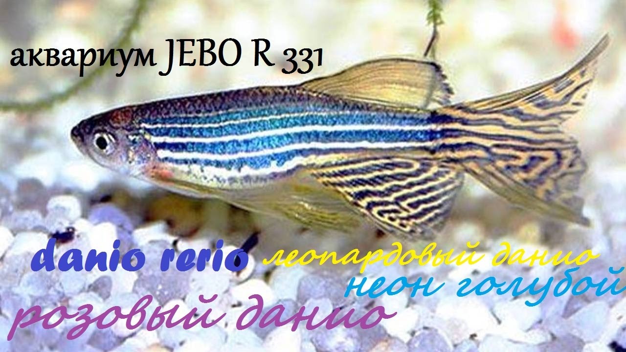 Аквариум JEBO R331 - YouTube