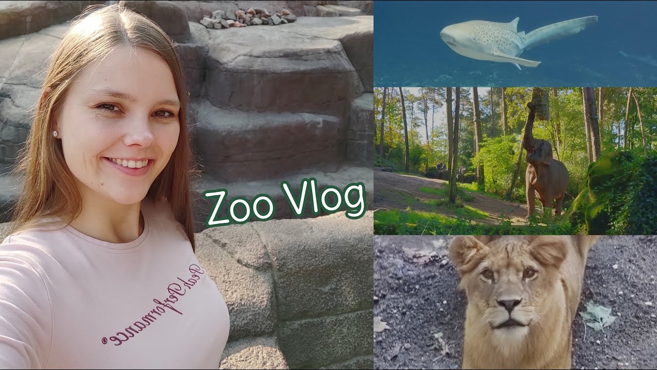 ASMR Netherlands Vlog (Part 2) - Whispered Voiceover and Relaxing Music ...