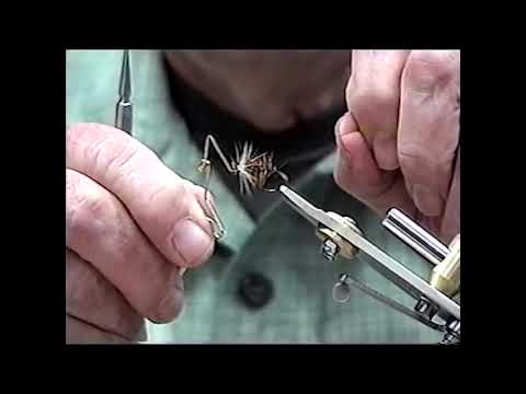 Woolly Renegade fly pattern - YouTube