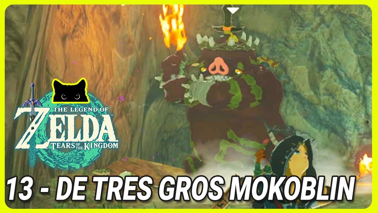 DE TRES GROS MOKOBLIN | Zelda: Tears of the Kingdom - LET'S PLAY FR 13 ...