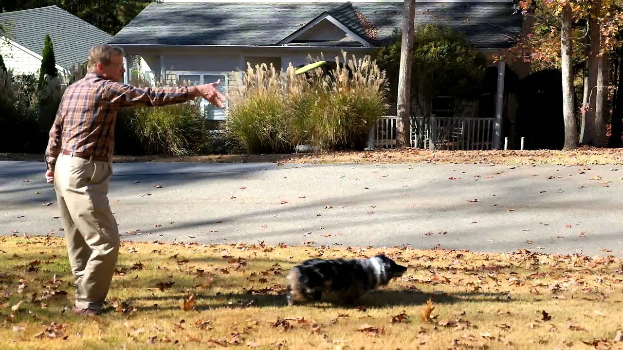 Fujifilm X-E1 / 1080p / 24p / MOV / sample video