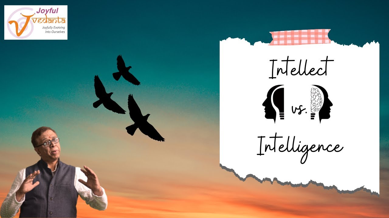 S1 E2 - Intellect vs. Intelligence - YouTube