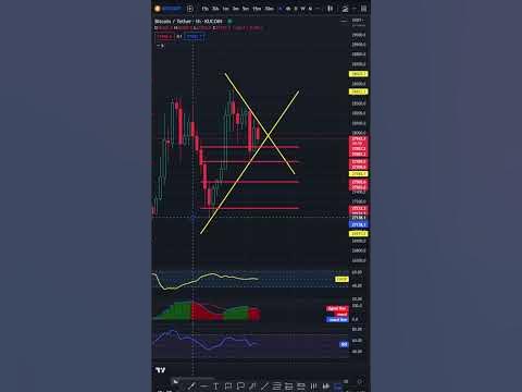 Bitcoin (BTC) to USDT chart over the 1-hour timeframe 20/3/2023 #shorts - YouTube