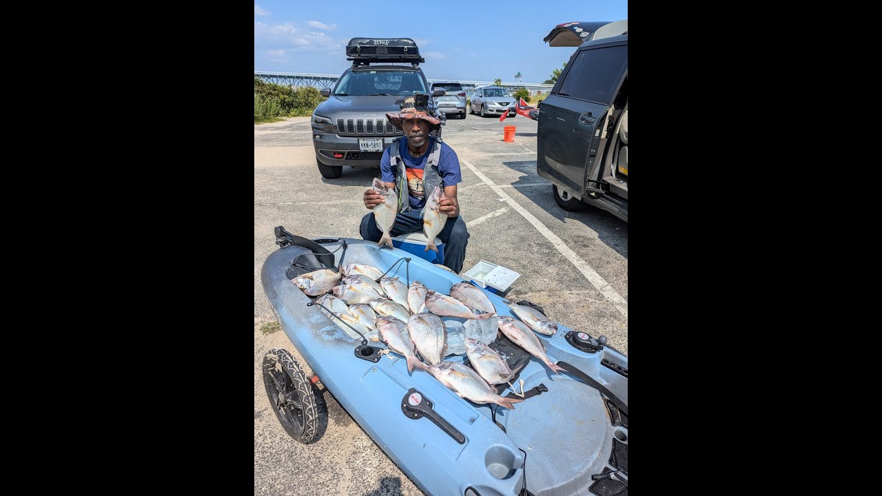Huge Nice Big Juicy Porgy Fishing Marine Parkway Bridge (07/27/2024 ...