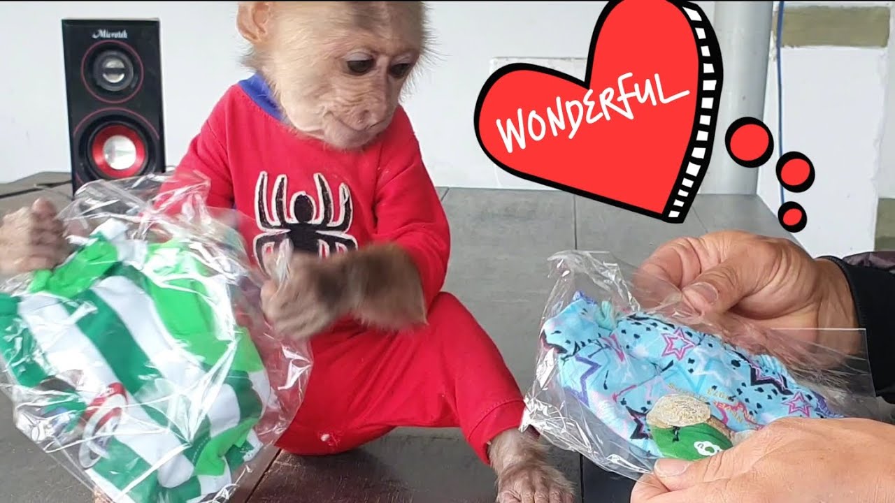 Baby Mika is very happy to receive new clothes from dad - YouTube