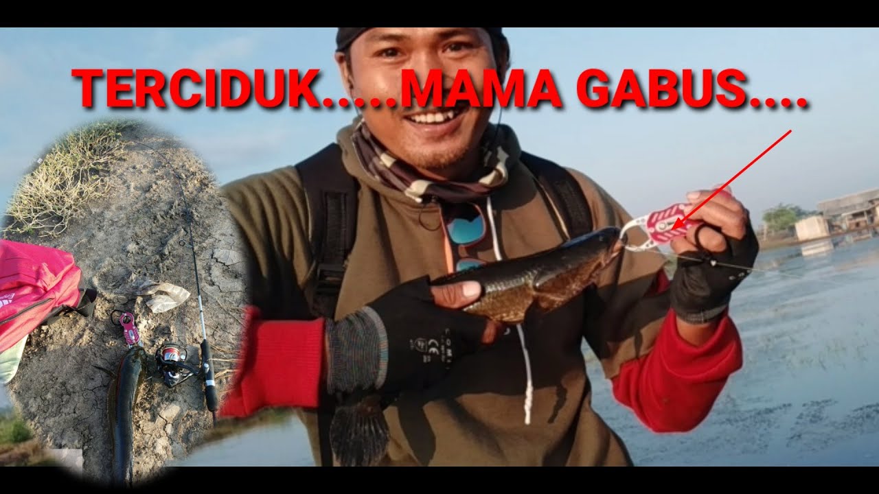 Casting gabus || besar - YouTube