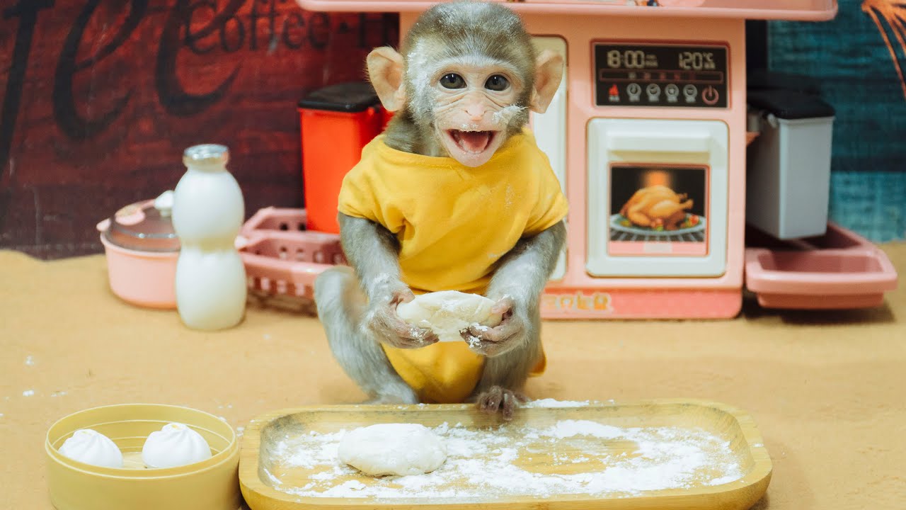Baby monkey NaNa learns to make dumplings - YouTube