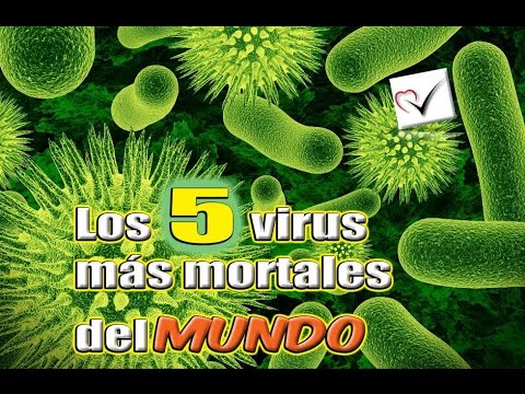 Los 5 virus más mortales del mundo - YouTube