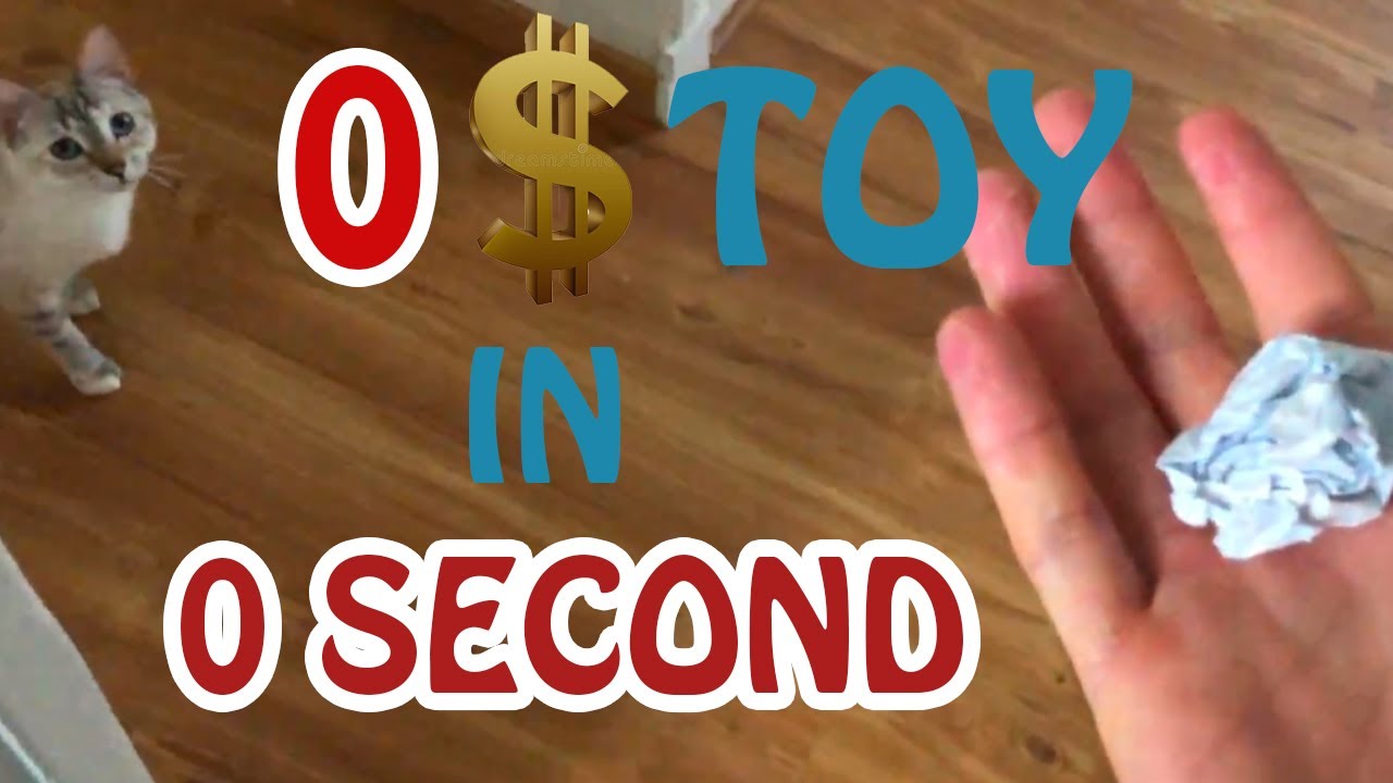 How to make a cat toy with 0$ in 0 second !! - YouTube