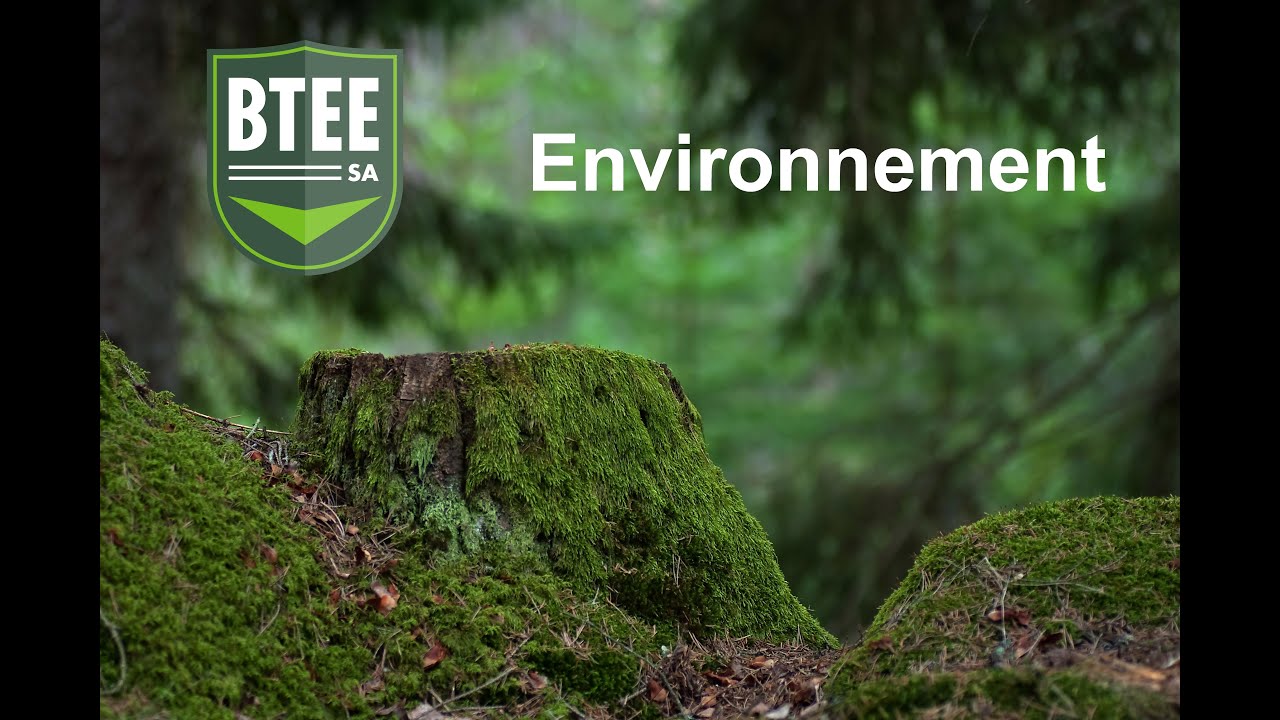 BTEE SA - Environnement "vert" (nature et paysage) - YouTube