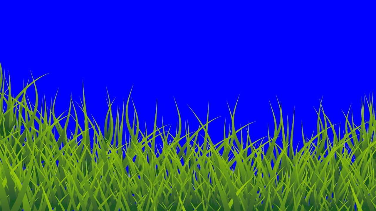 NO COPYRIGHT Green Screen - GRASS (9) Different Scenes - YouTube