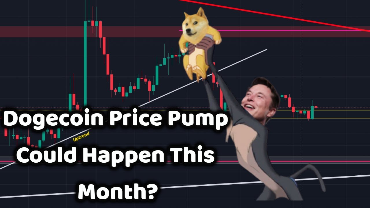 Dogecoin Price Pump Could Happen This Month? - YouTube