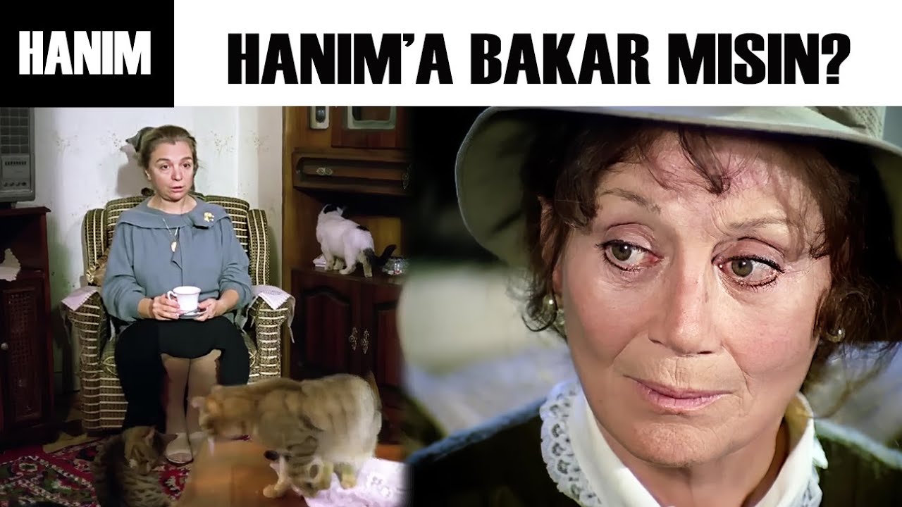 Hanım Türk Filmi | Olcay Hanım Kedisi Hanım'ı Siranuş'a Emanet Etmek ...
